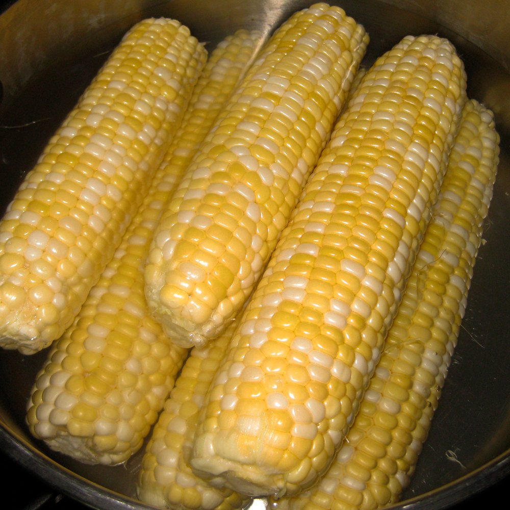 American Dream Sweet Corn Seeds for Sale