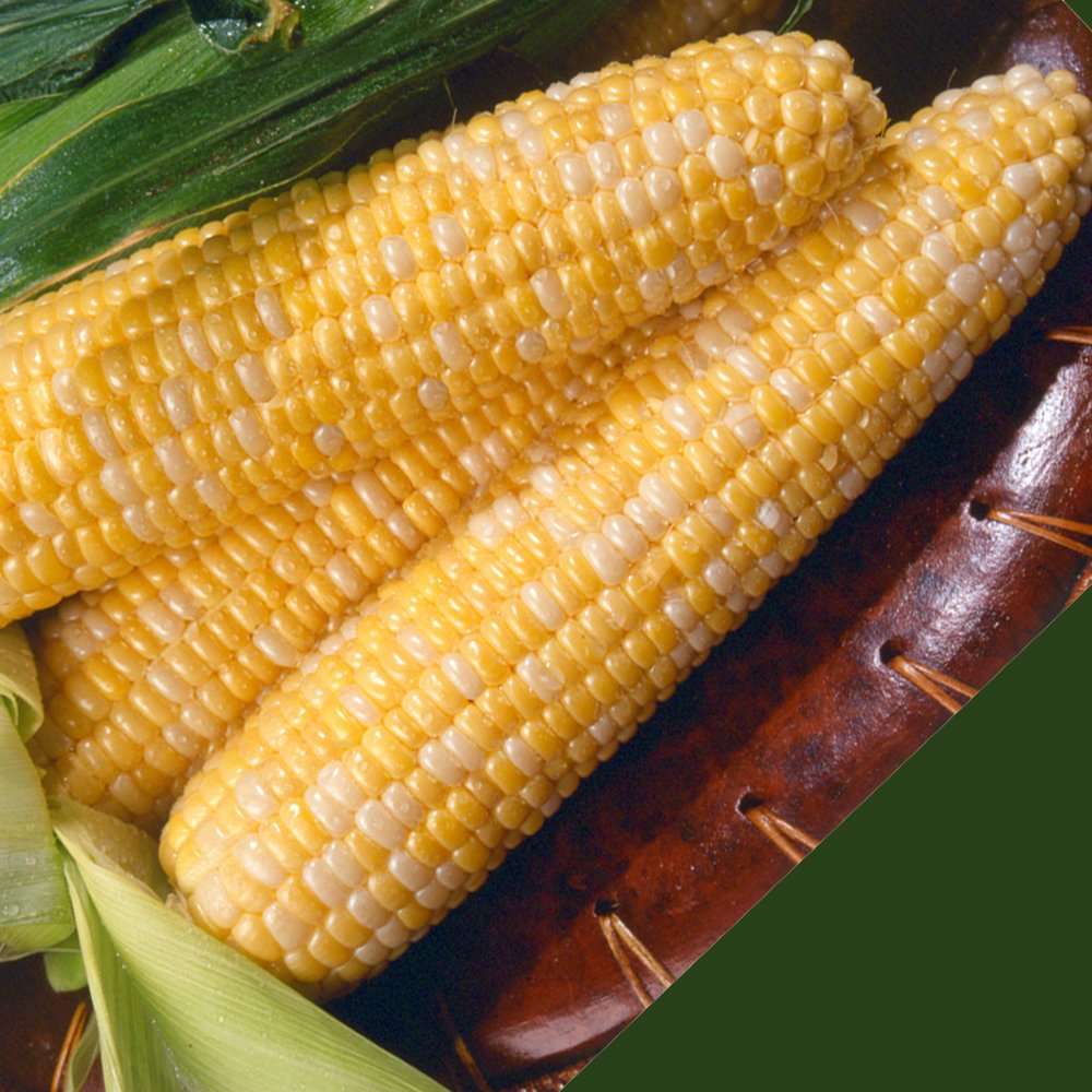 Kristine Sweet Corn Seeds