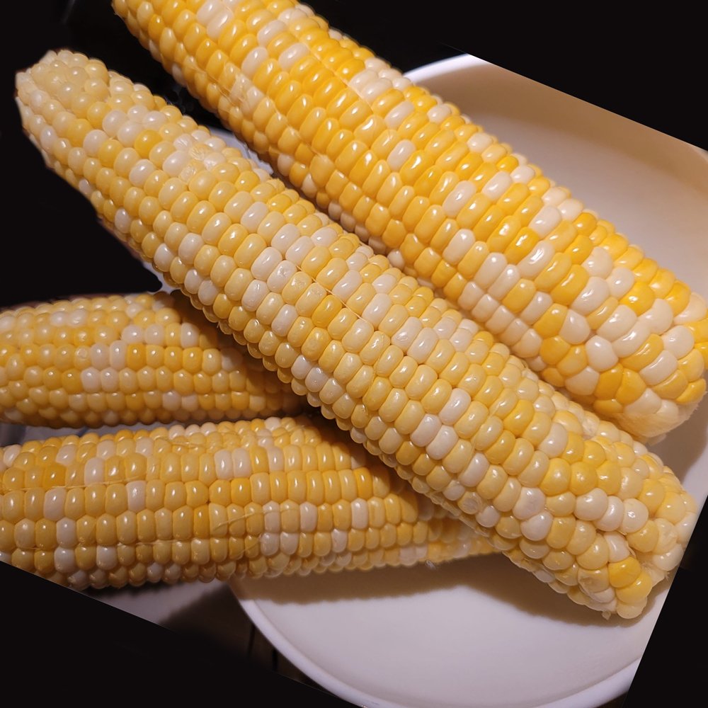 Progression Sweet Corn Seeds